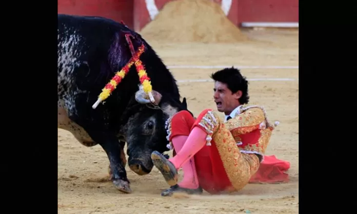 Pancho Cavero: "La tauromaquia debe morir"