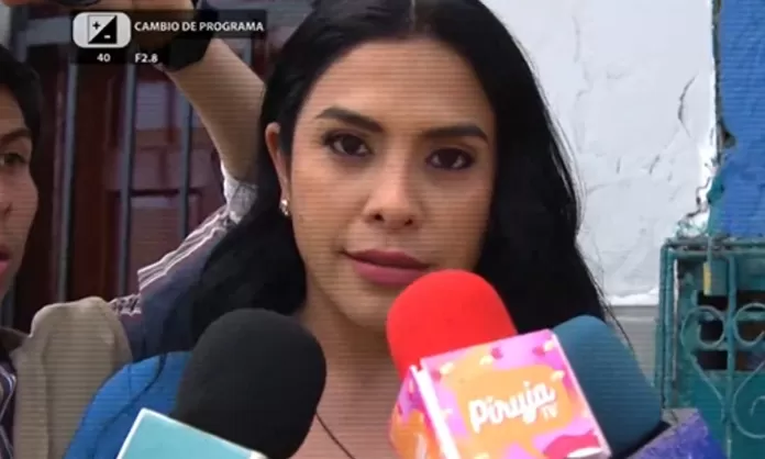 Ada anunció su retiro de la música por este motivo